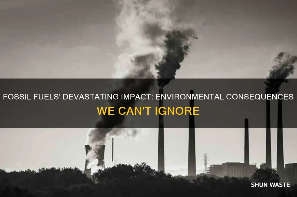 Fossil Fuels' Devastating Impact: Environmental Consequences We Can't ...
