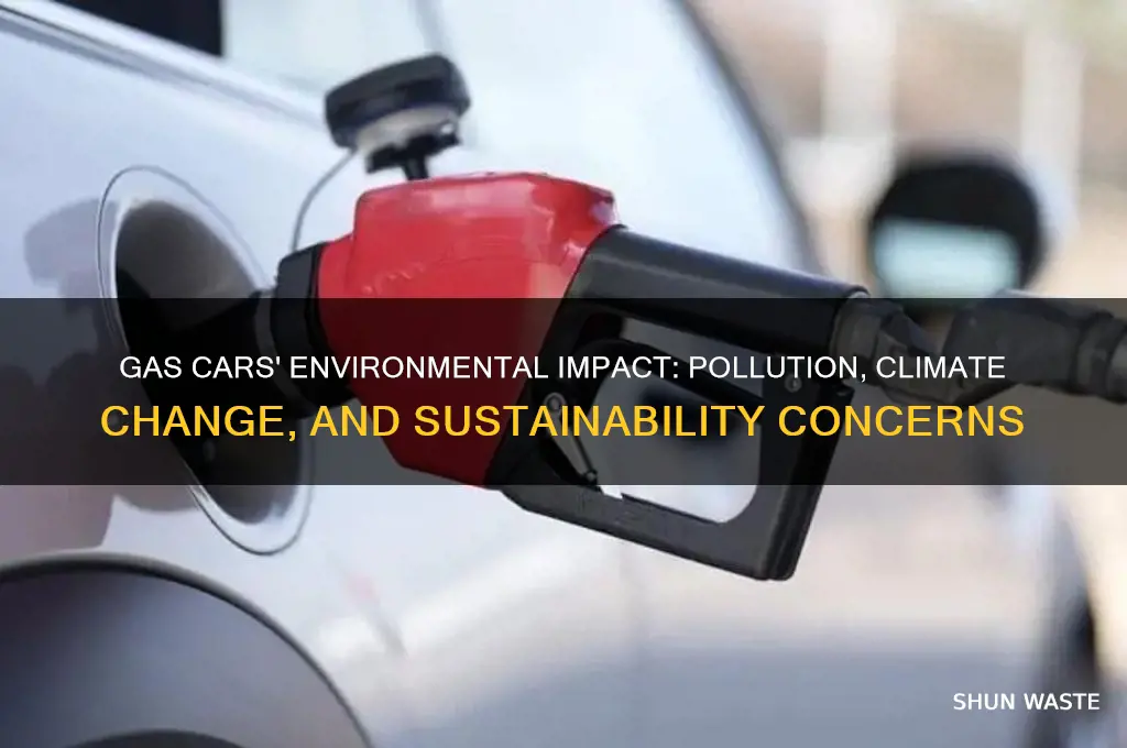 Gas Cars' Environmental Impact: Pollution, Climate Change, And ...