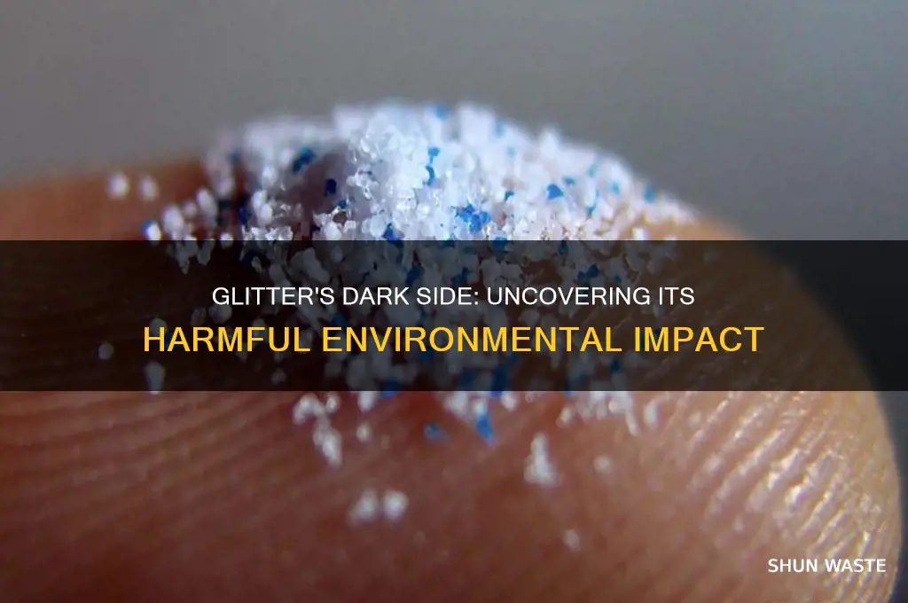 Glitter's Dark Side: Uncovering Its Harmful Environmental Impact ...