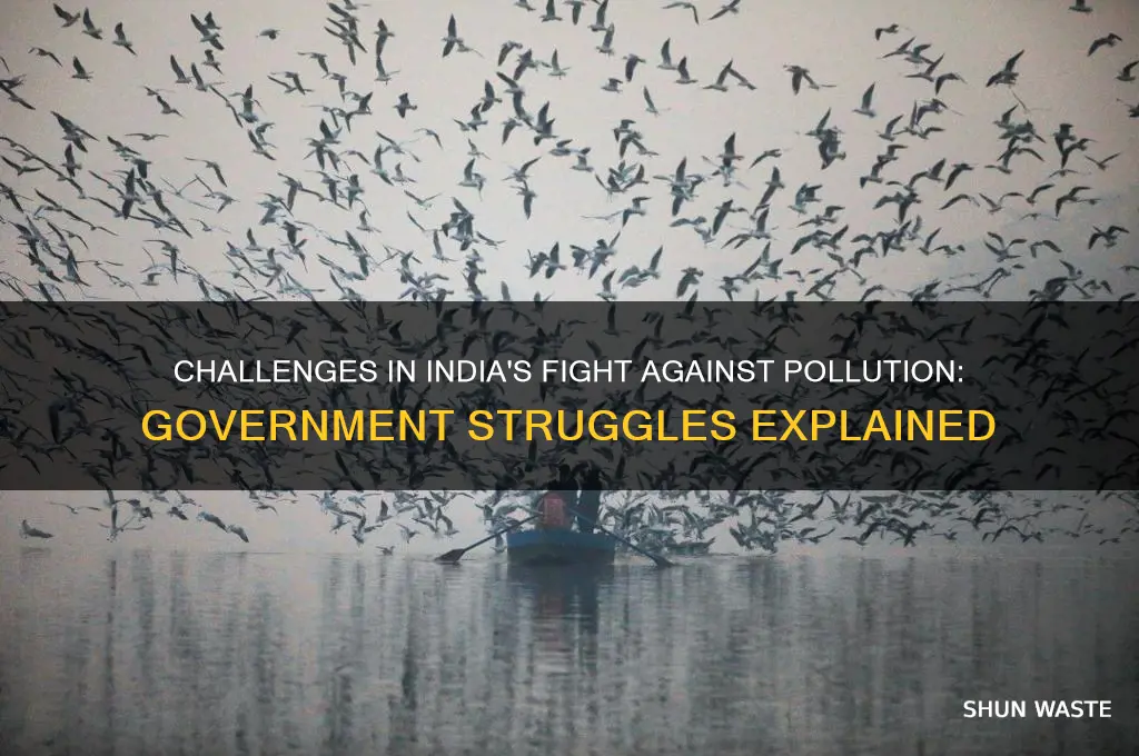 Challenges In India's Fight Against Pollution: Government Struggles ...