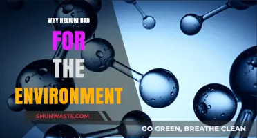 Environmental Impact Of Fertilizers: Harmful Effects On Ecosystems And ...