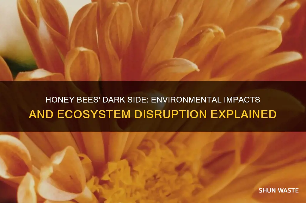 Honey Bees' Dark Side: Environmental Impacts And Ecosystem Disruption ...