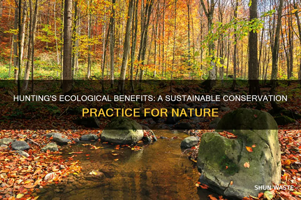 Hunting's Ecological Benefits: A Sustainable Conservation Practice For ...
