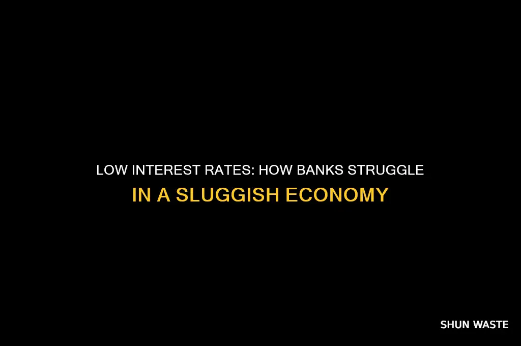 Low Interest Rates: How Banks Struggle In A Sluggish Economy | ShunWaste