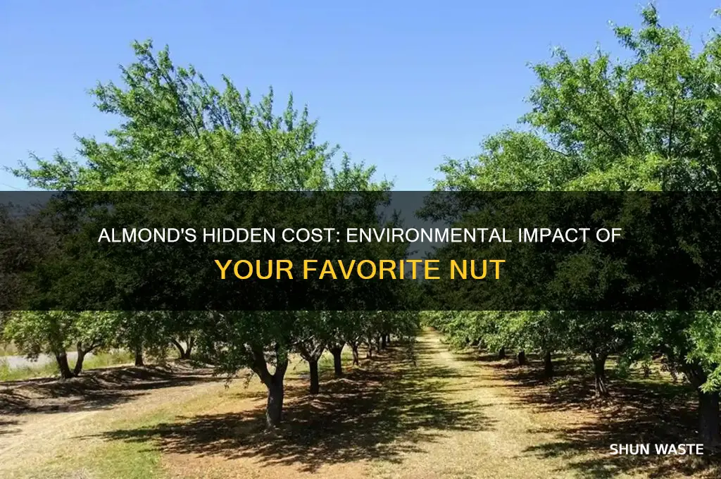 Almond's Hidden Cost: Environmental Impact Of Your Favorite Nut | ShunWaste