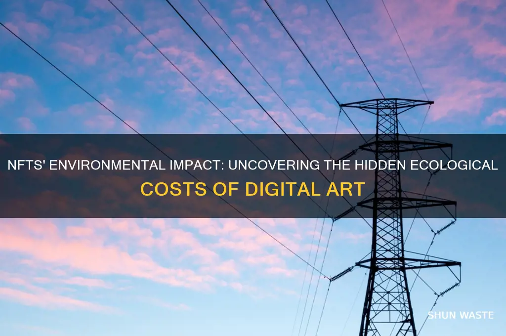 Nfts' Environmental Impact: Uncovering The Hidden Ecological Costs Of ...