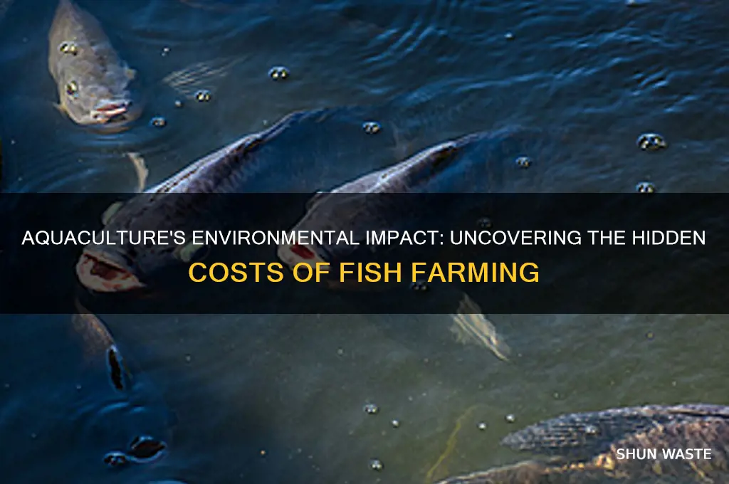 Aquaculture's Environmental Impact: Uncovering The Hidden Costs Of Fish ...