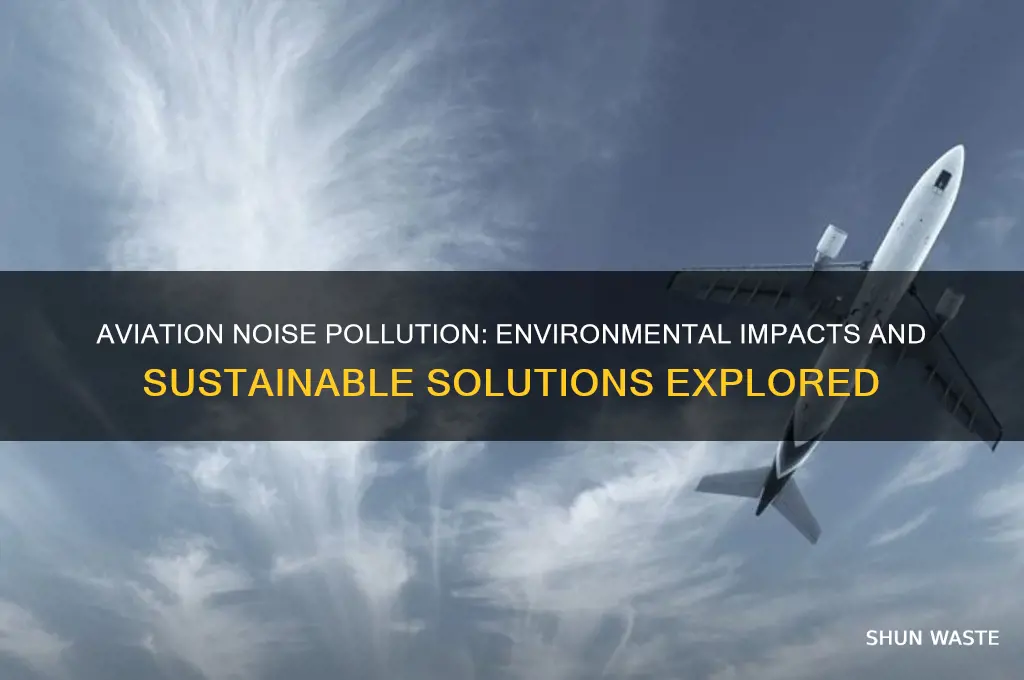Aviation Noise Pollution: Environmental Impacts And Sustainable ...