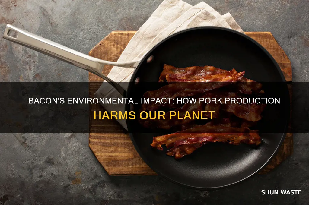 Bacon's Environmental Impact: How Pork Production Harms Our Planet ...