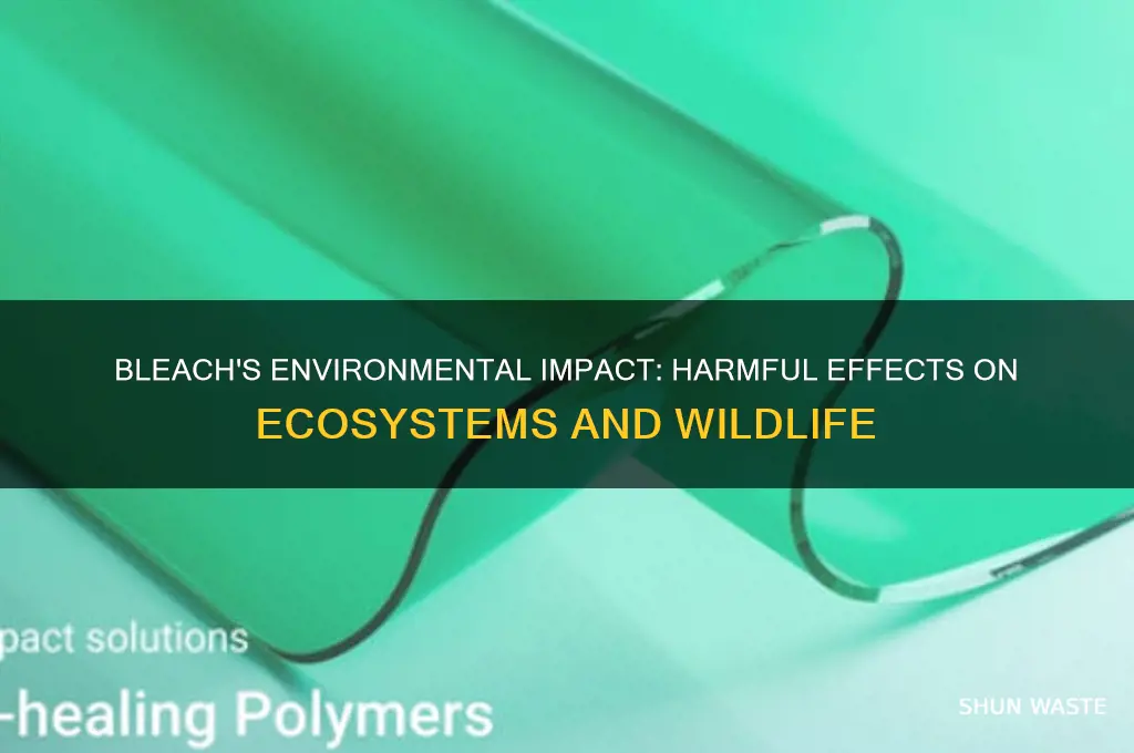 Bleach's Environmental Impact: Harmful Effects On Ecosystems And ...