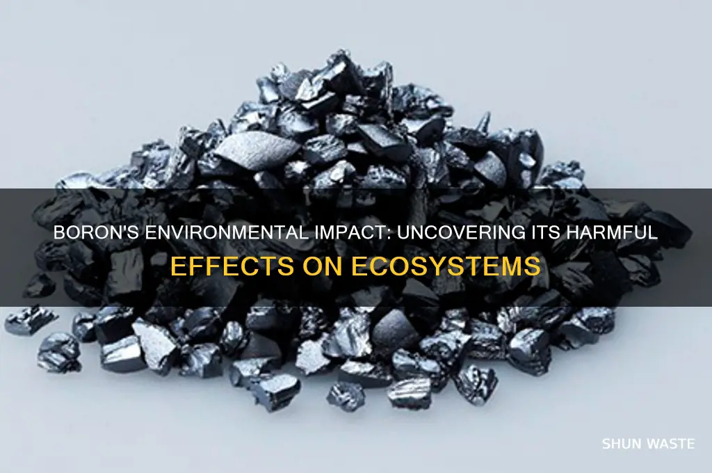 Boron's Environmental Impact: Uncovering Its Harmful Effects On ...