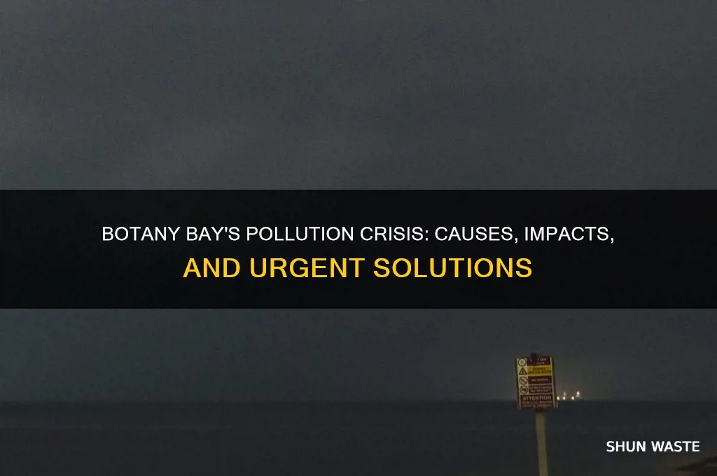 Botany Bay's Pollution Crisis: Causes, Impacts, And Urgent Solutions ...