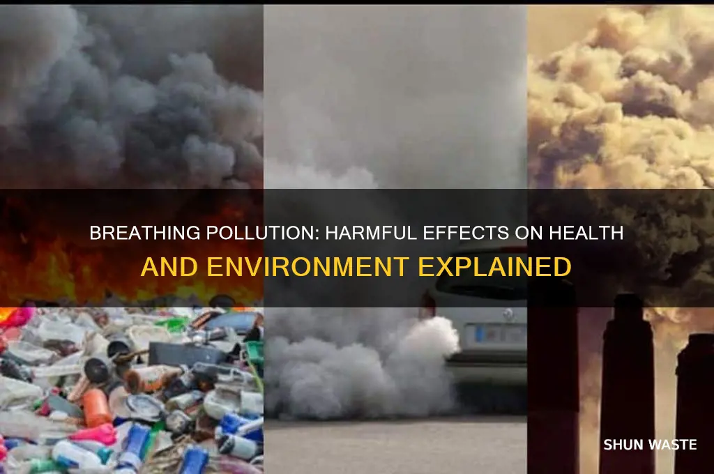 Breathing Pollution: Harmful Effects On Health And Environment ...