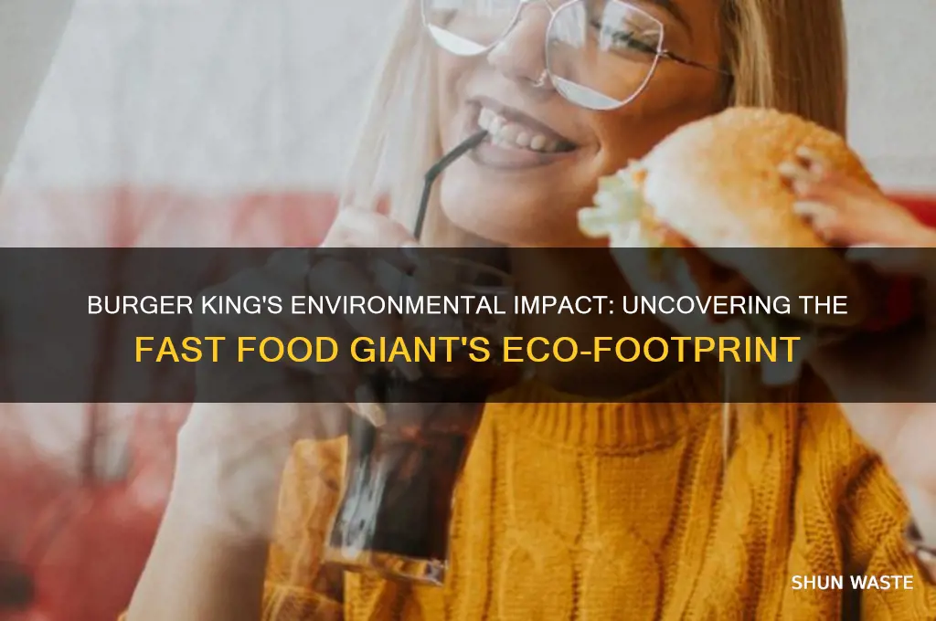 Burger King's Environmental Impact: Uncovering The Fast Food Giant's ...
