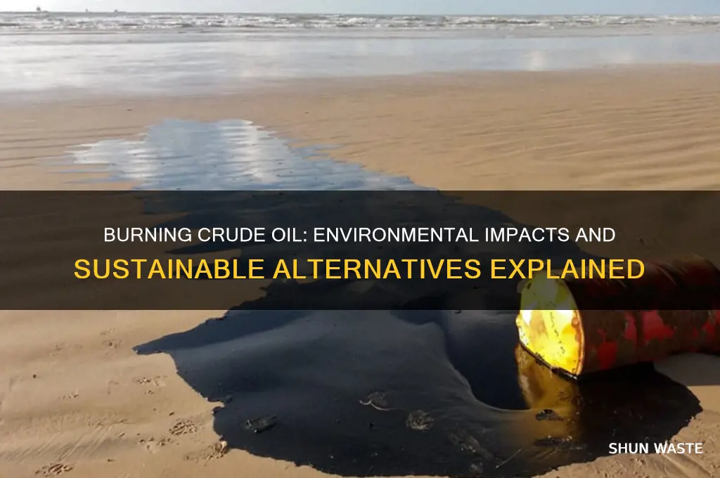 Burning Crude Oil: Environmental Impacts And Sustainable Alternatives ...