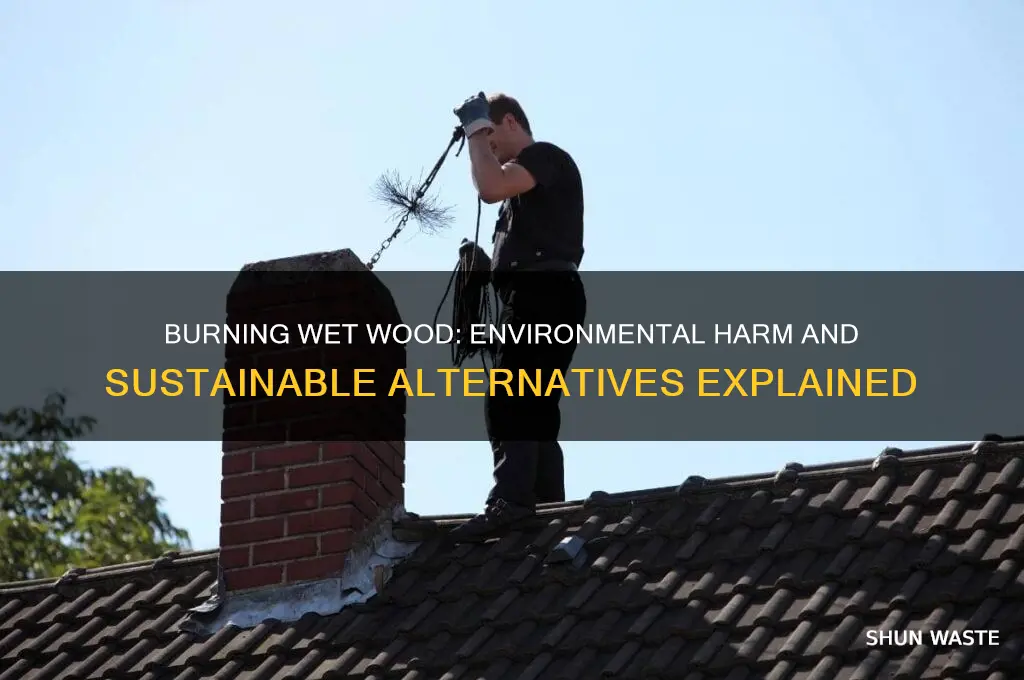 Burning Wet Wood: Environmental Harm And Sustainable Alternatives ...