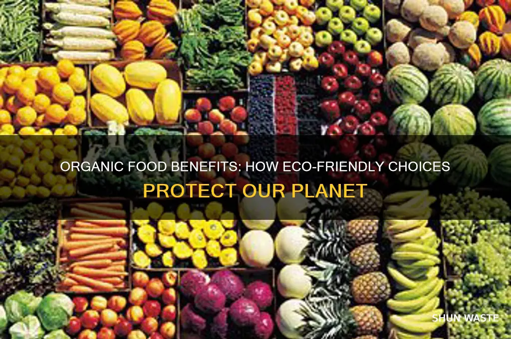 Organic Food Benefits: How Eco-Friendly Choices Protect Our Planet ...