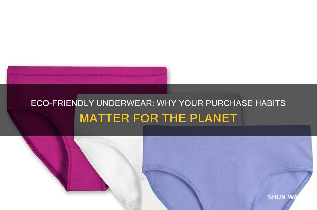 Eco-Friendly Underwear: Why Your Purchase Habits Matter For The Planet ...