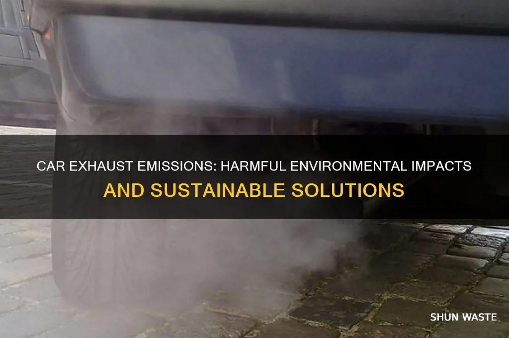 Car Exhaust Emissions: Harmful Environmental Impacts And Sustainable ...