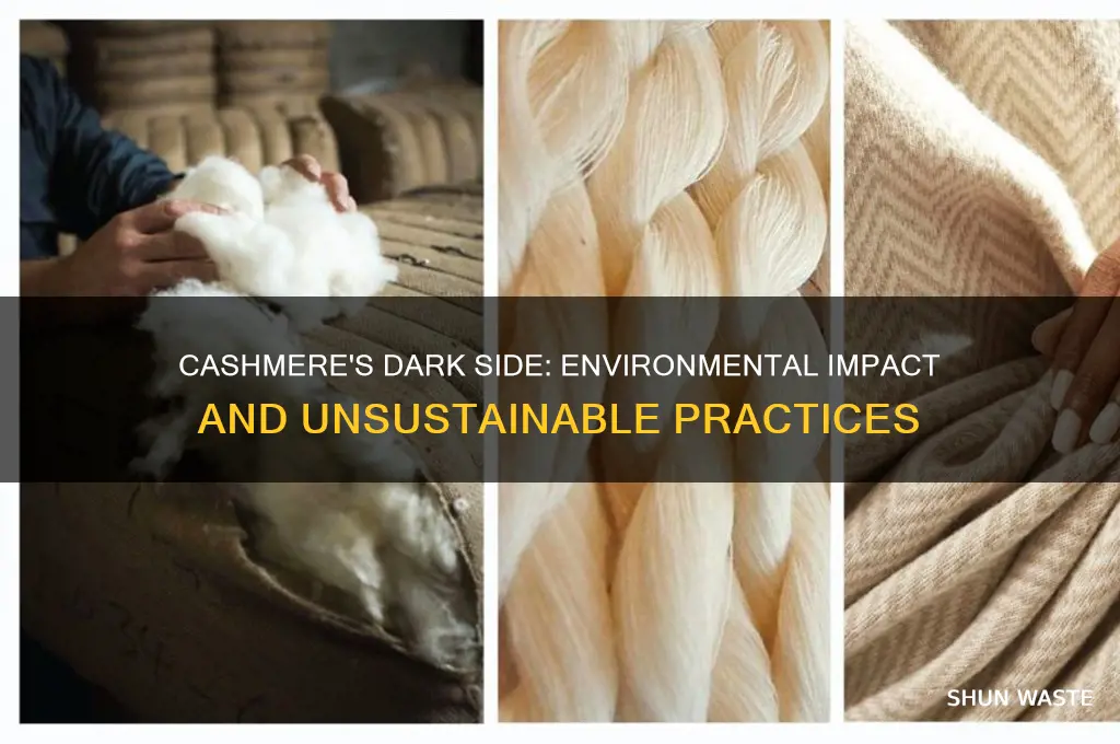 Cashmere's Dark Side: Environmental Impact And Unsustainable Practices ...