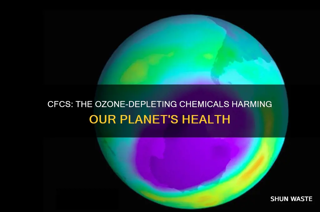 Cfcs: The Ozone-Depleting Chemicals Harming Our Planet's Health | ShunWaste