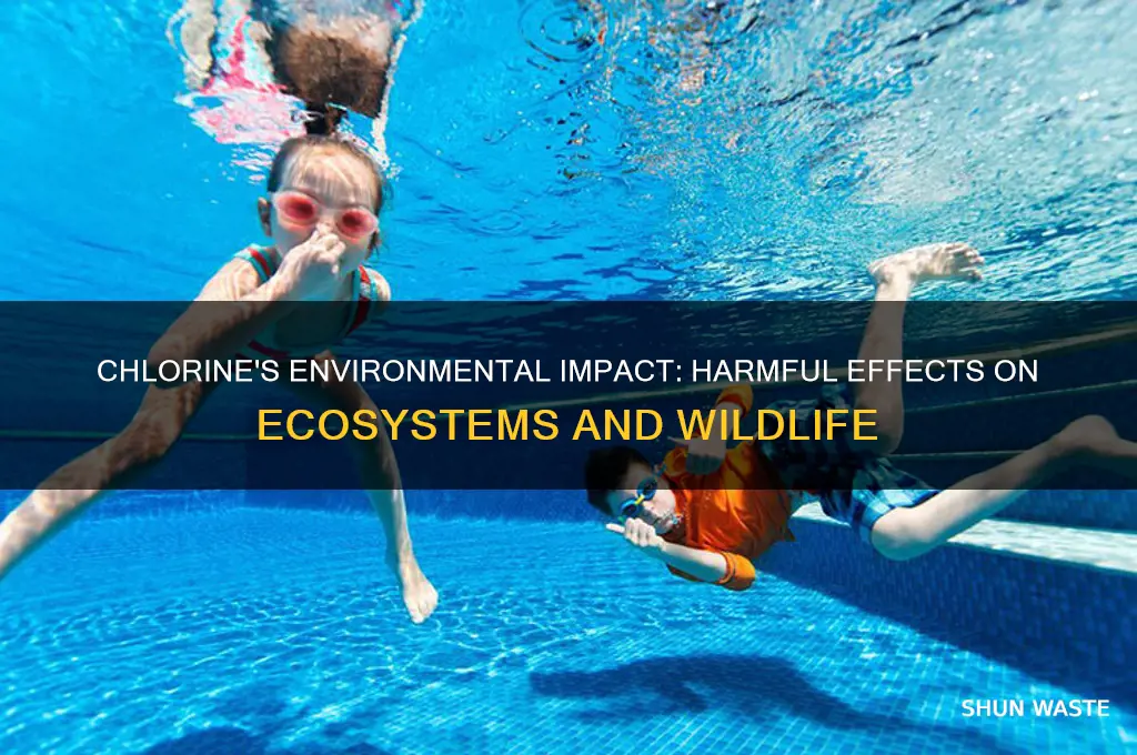 Chlorine's Environmental Impact: Harmful Effects On Ecosystems And ...