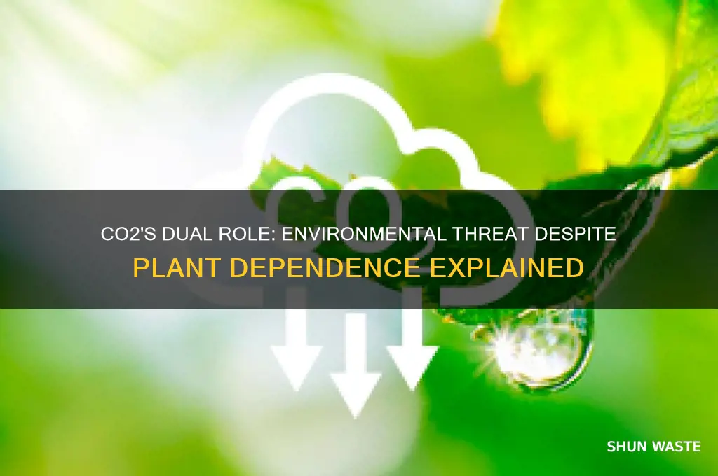Co2's Dual Role: Environmental Threat Despite Plant Dependence ...