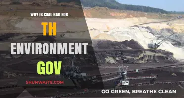 China's Environmental Crisis: Causes, Impacts, And Urgent Solutions ...
