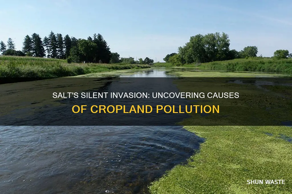 Salt's Silent Invasion: Uncovering Causes Of Cropland Pollution | ShunWaste