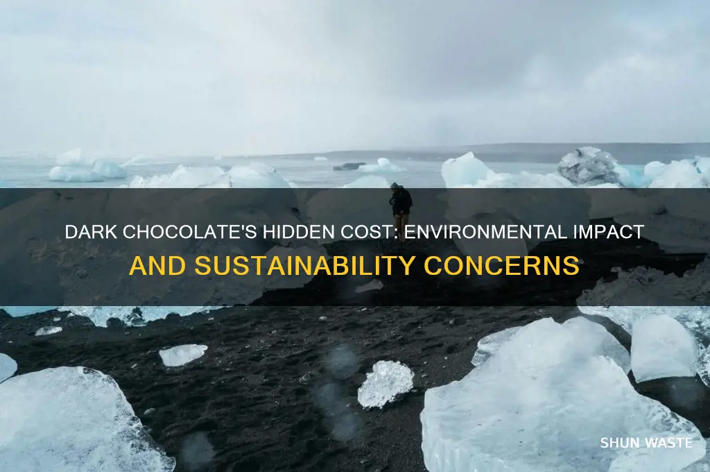 Dark Chocolate's Hidden Cost: Environmental Impact And Sustainability ...