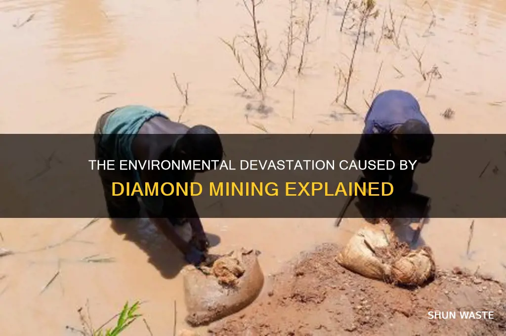 The Environmental Devastation Caused By Diamond Mining Explained ...