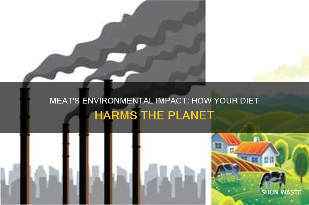 Meat's Environmental Impact: How Your Diet Harms The Planet | ShunWaste
