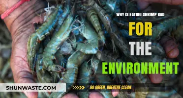 Erosion's Environmental Impact: How Soil Loss Harms Ecosystems And ...