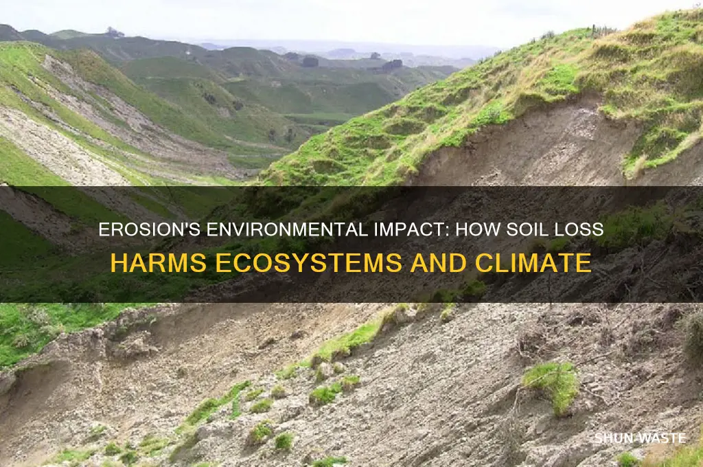 Erosion's Environmental Impact: How Soil Loss Harms Ecosystems And ...