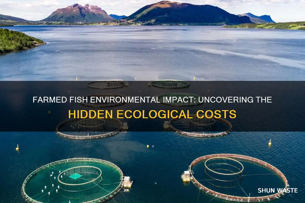 Farmed Fish Environmental Impact: Uncovering The Hidden Ecological ...