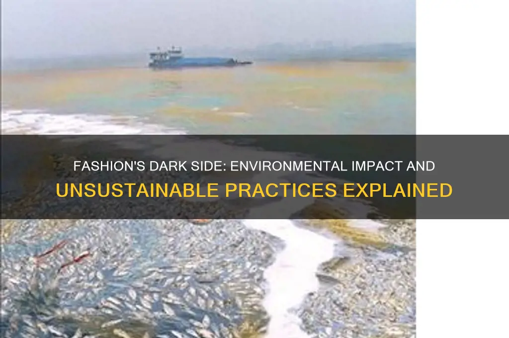 Fashion's Dark Side: Environmental Impact And Unsustainable Practices ...