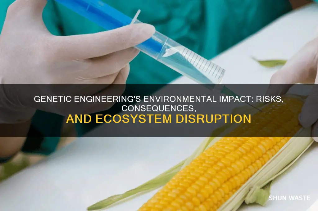 Genetic Engineering's Environmental Impact: Risks, Consequences, And ...