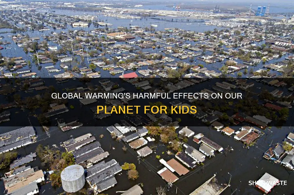 Global Warming's Harmful Effects On Our Planet For Kids | ShunWaste