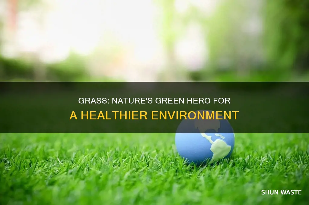 Grass: Nature's Green Hero For A Healthier Environment | ShunWaste