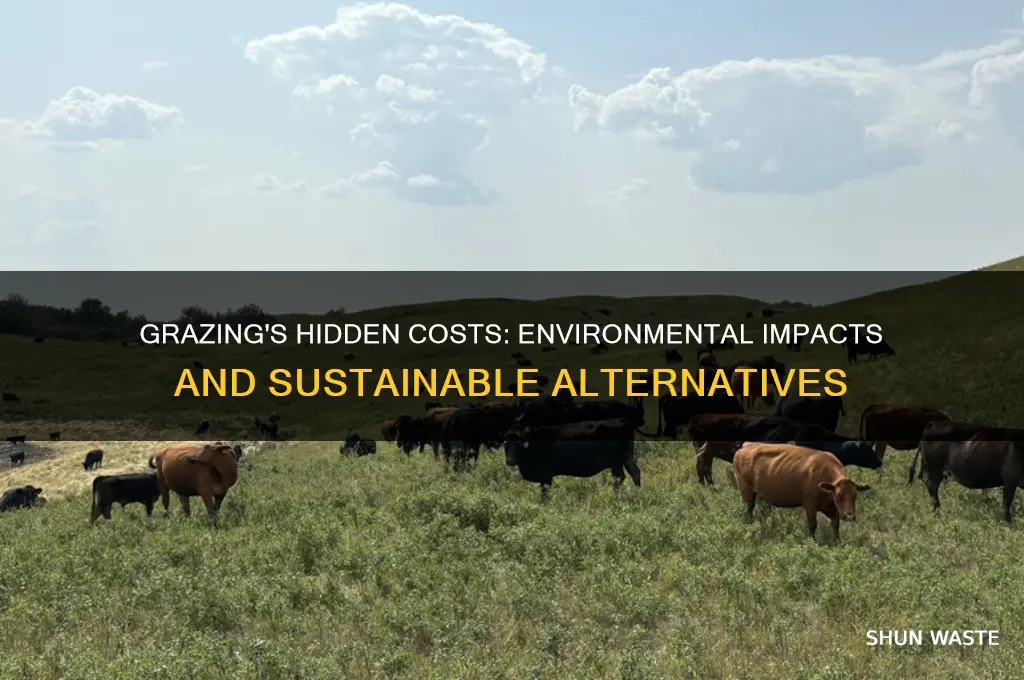 Grazing's Hidden Costs: Environmental Impacts And Sustainable ...