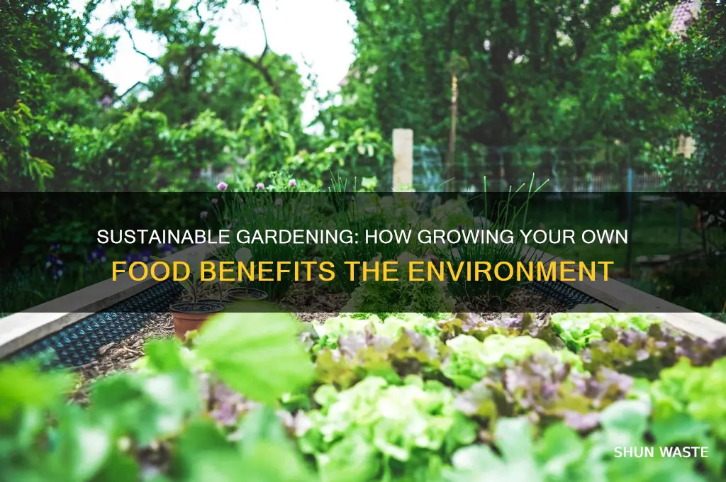 Sustainable Gardening: How Growing Your Own Food Benefits The ...