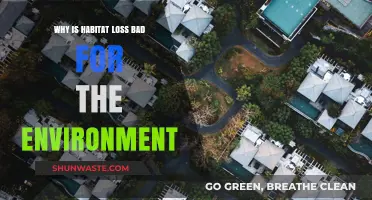 Habitat Loss: Devastating Impacts On Ecosystems And Environmental ...