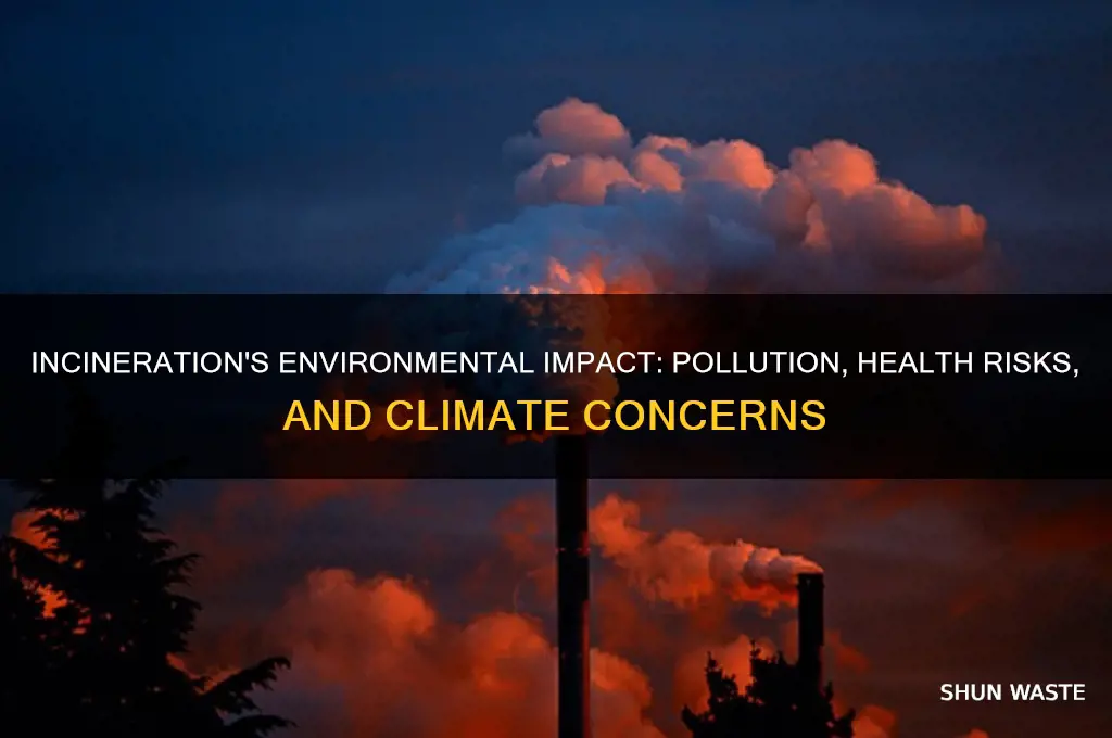 Incineration's Environmental Impact: Pollution, Health Risks, And ...