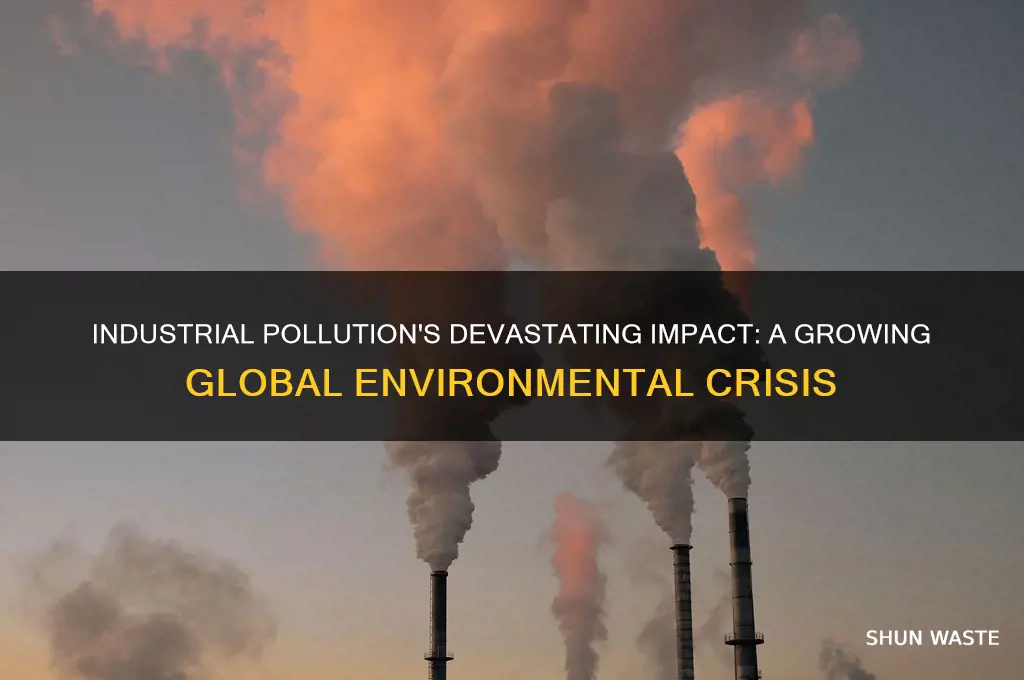Industrial Pollution's Devastating Impact: A Growing Global ...