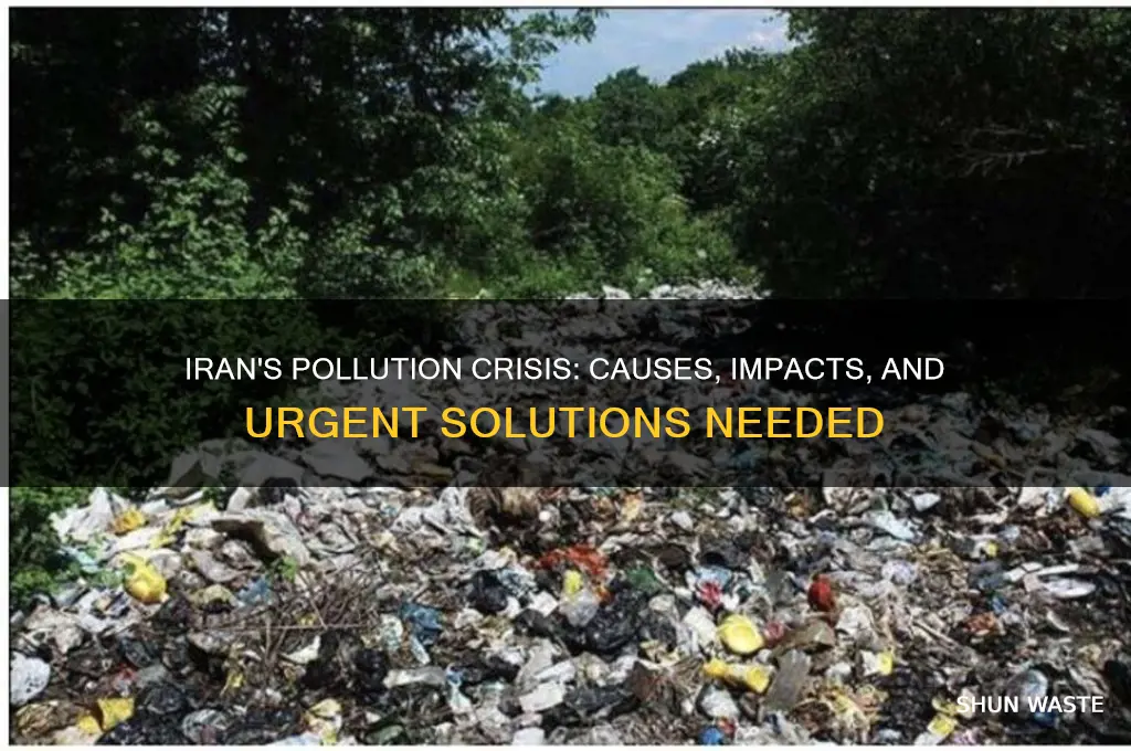 Iran's Pollution Crisis: Causes, Impacts, And Urgent Solutions Needed ...