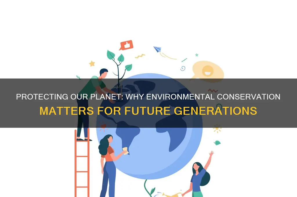 Protecting Our Planet: Why Environmental Conservation Matters For ...