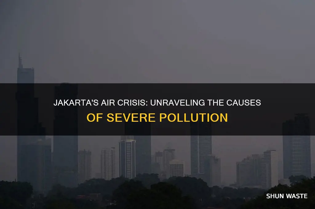 Jakarta's Air Crisis: Unraveling The Causes Of Severe Pollution | ShunWaste