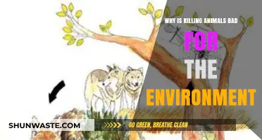 Landfill's Environmental Impact: Harmful Effects And Sustainable ...