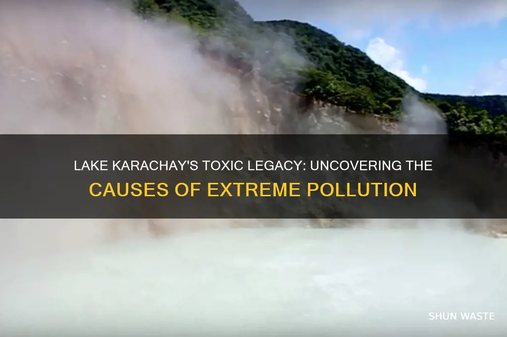 Lake Karachay's Toxic Legacy: Uncovering The Causes Of Extreme ...