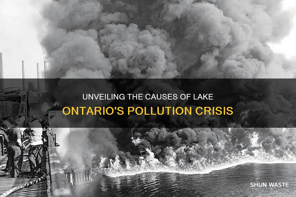 Unveiling The Causes Of Lake Ontario's Pollution Crisis | ShunWaste